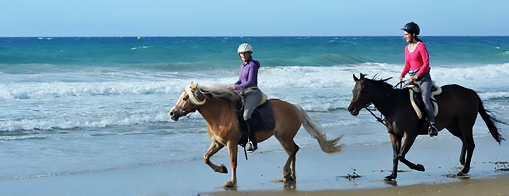 Arion stables horse ridding services in Chersonissos Crete